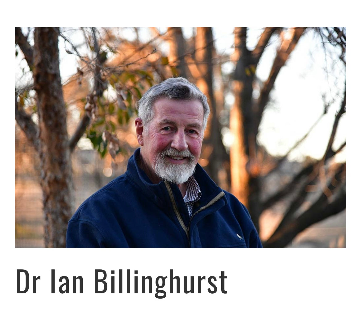 WHAT I LEARNED FROM DR IAN BILLINGHURST ABOUT DOG NUTRITION – Tedandco.com